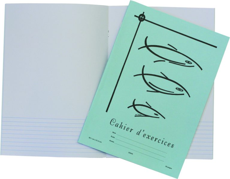 Hilroy Catechese Exercise Notebook, 11-7/8x8-3/8-Inch, 8mm Ruled, 32 ...