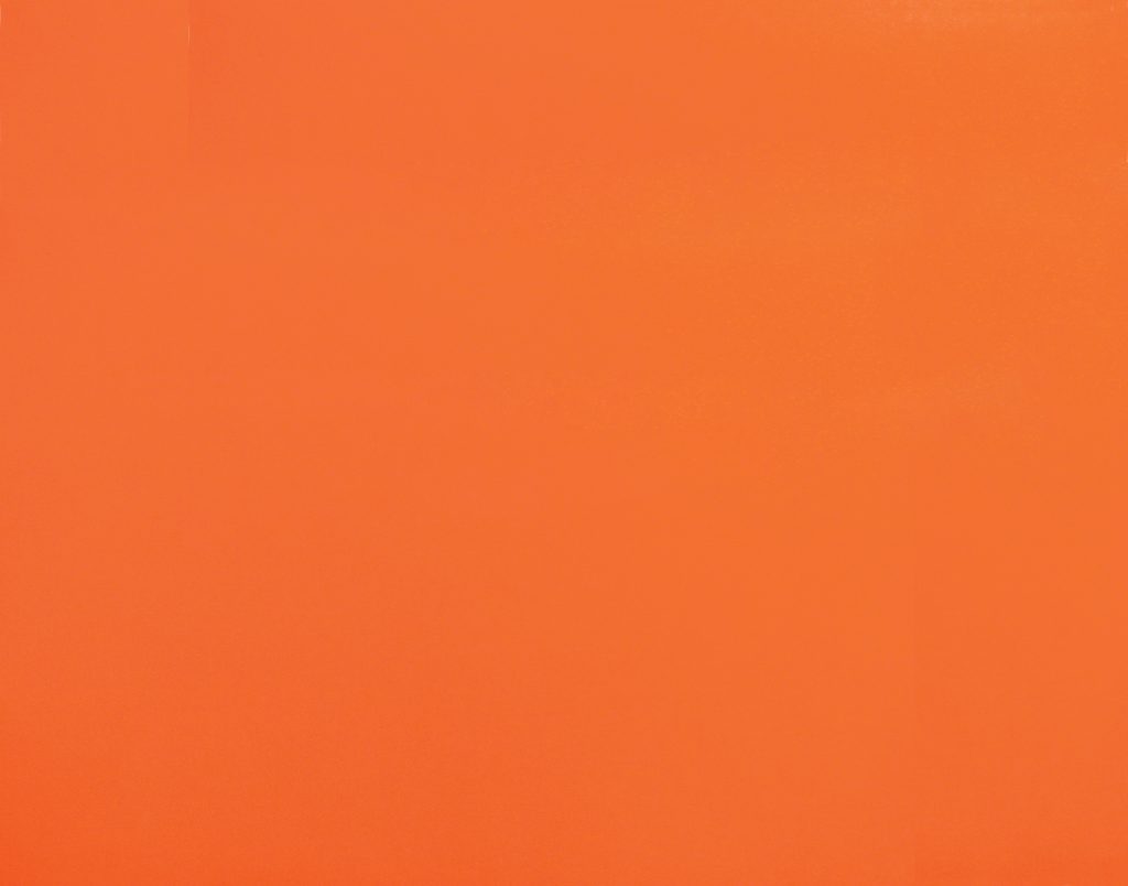 Hilroy 4-Ply Poster Board, 22 X 28-Inch, 14 Point, 25 Sheets, Orange ...