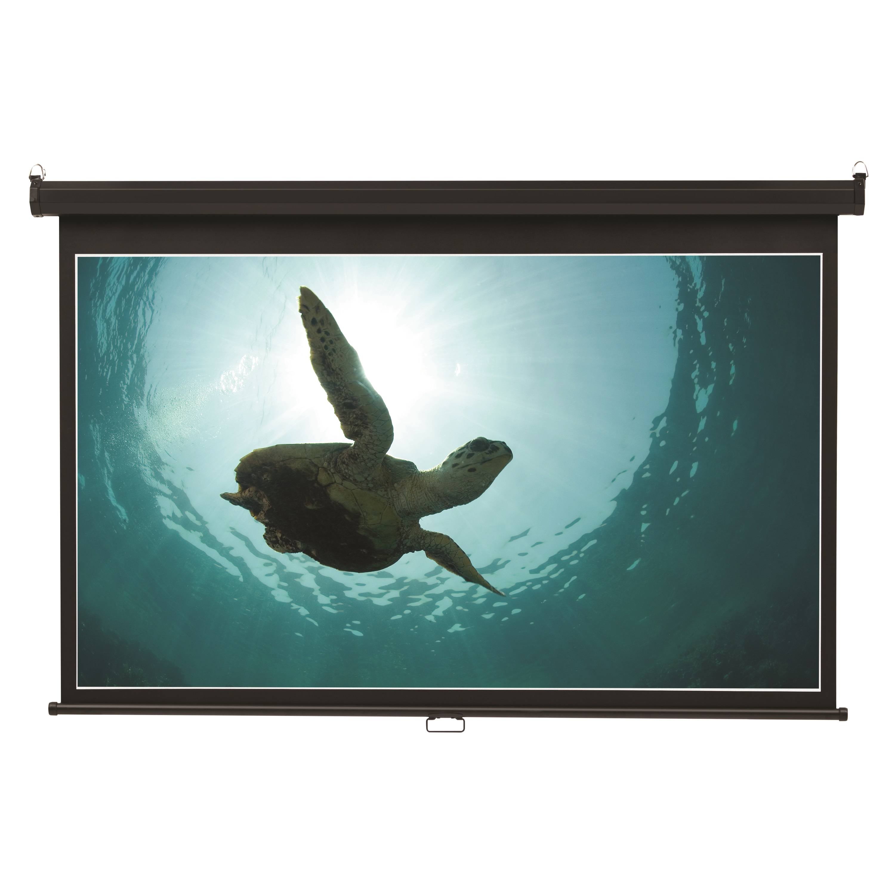 Quartet® Wide Format Projection Screens, Wall Mount, 45" x 80" - ACCO ...