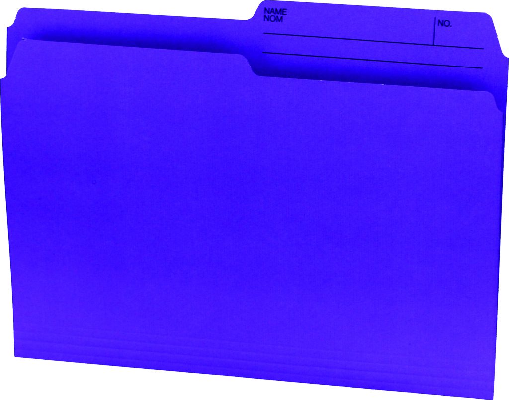 Hilroy Letter Size File Folders, 9x11-3/4-Inch, 100 per Box, Purple ...