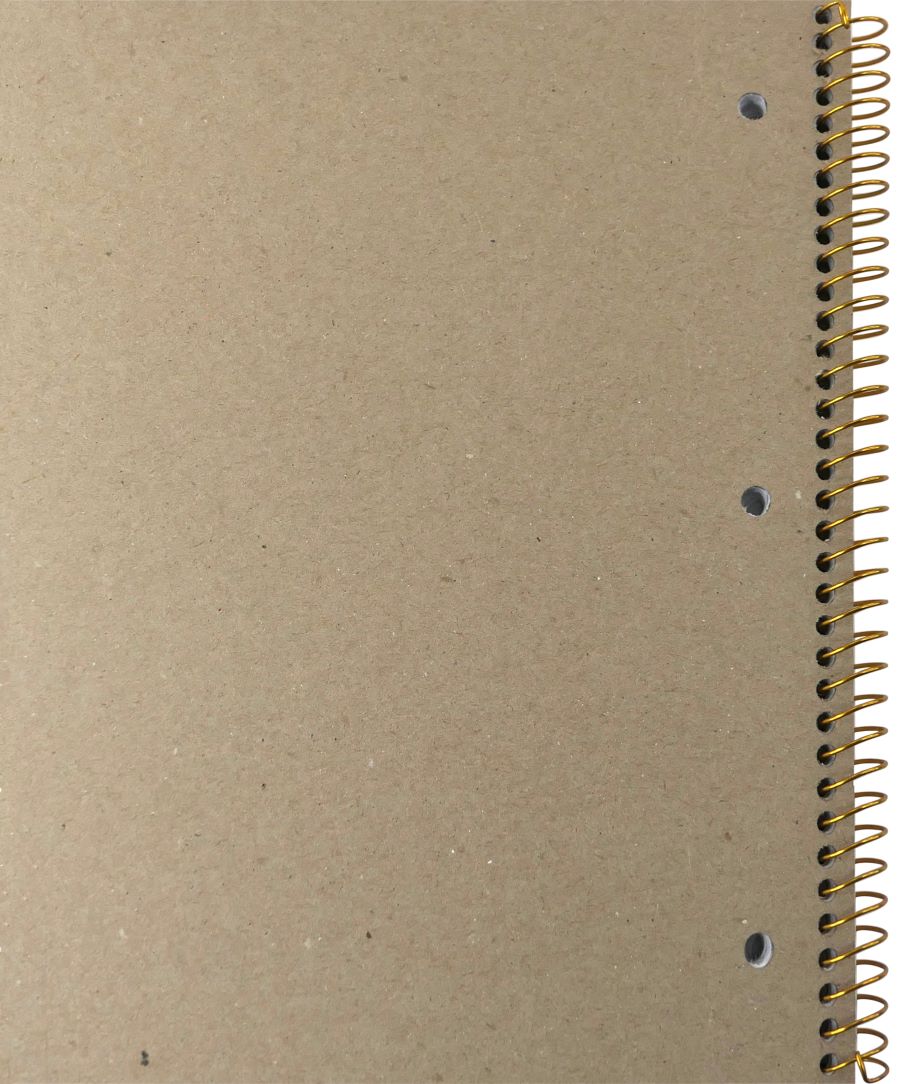 Five Star fashion notebook Impressionist, 80ct - ACCO Canada